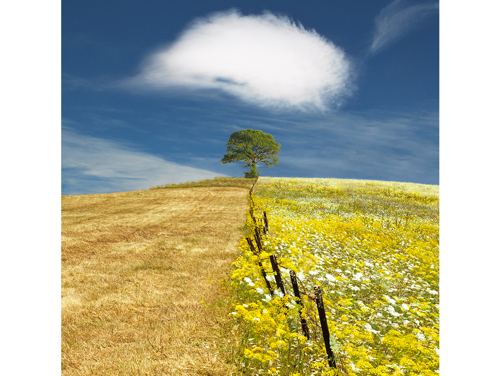 Charlie Waite – Foto Fest