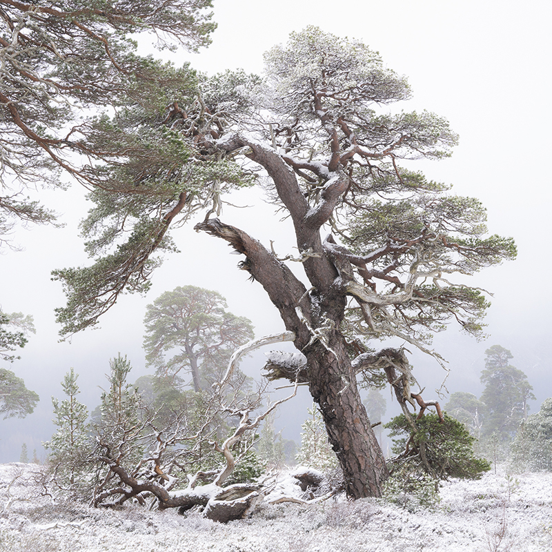 Simon Baxter – Foto Fest
